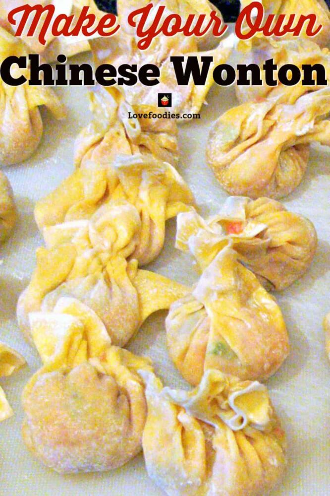 Chinese Wonton, how to make, step by step instructions