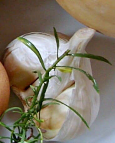 How to Peel a Whole Head of Garlic Fast | Lovefoodies