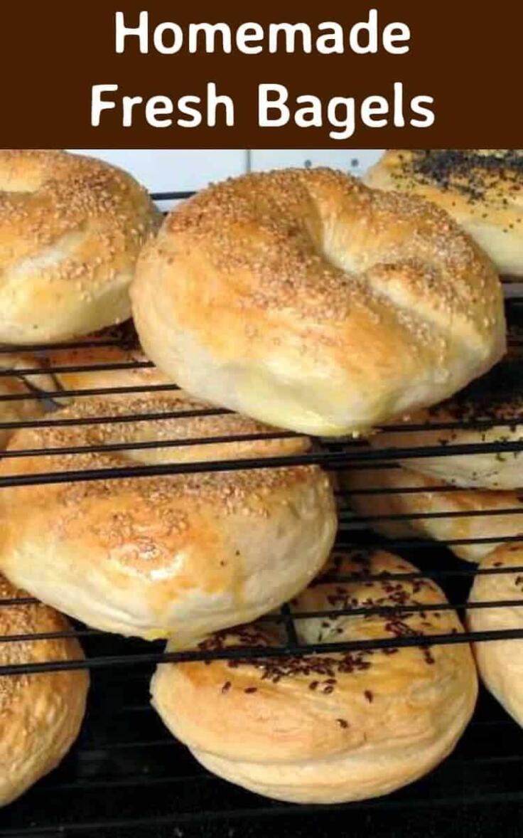 Homemade Fresh Bagels | Lovefoodies