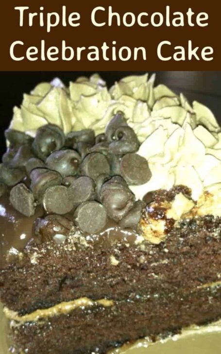 Triple Chocolate Celebration Cake | Lovefoodies