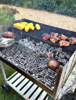 How To Host A Chicken Wings Party | Lovefoodies