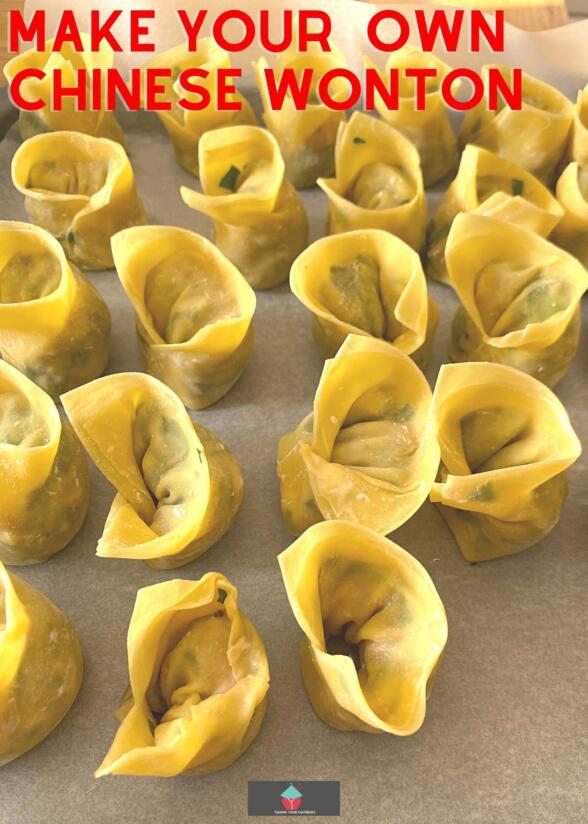 Chinese Wonton, how to make, step by step instructions