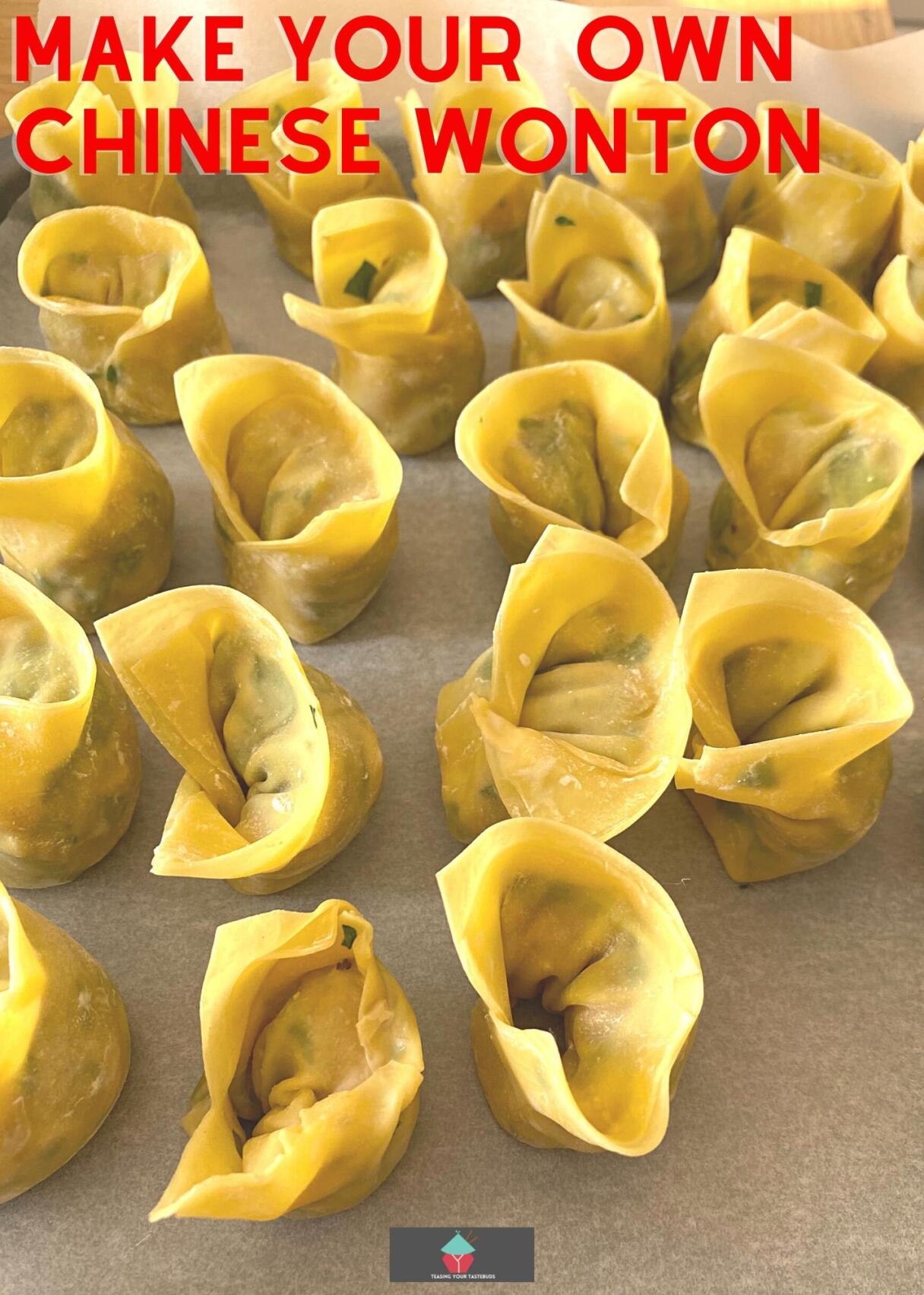 Chinese Wonton, how to make, step by step instructions