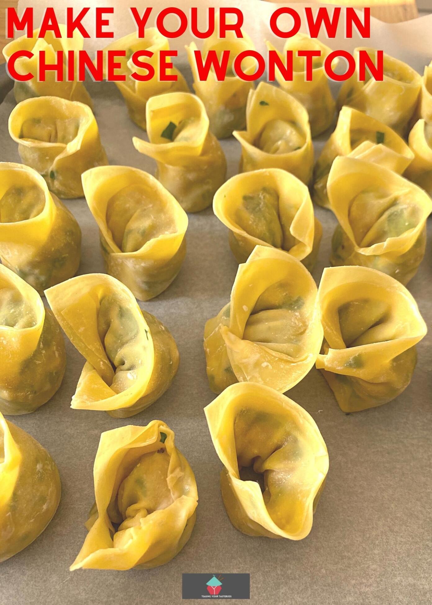 Chinese Wonton, how to make, step by step instructions