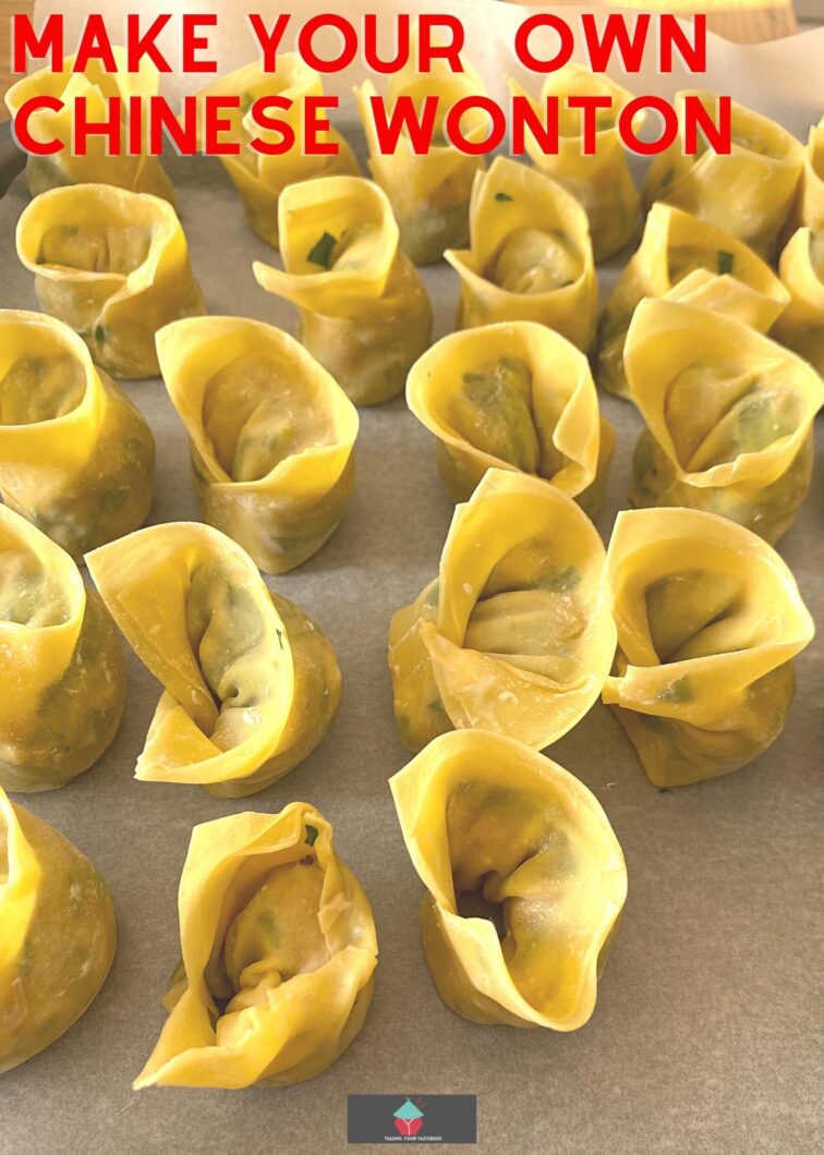 Chinese Wonton, how to make, step by step instructions